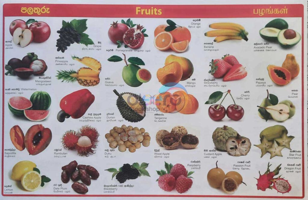 MAGE PASAL PINTHURA POTHA - Oleero Books