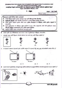 Shishyathwaya (past papers) - Oleero Books