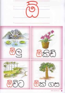 RUPA BALA AKURU KIYAMU - Oleero Books